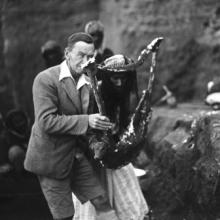 - The British Institute for the Study of Iraq